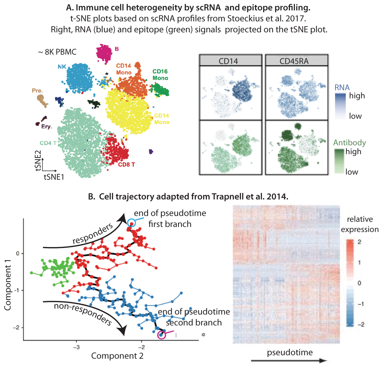 Research | Dumeaux Lab